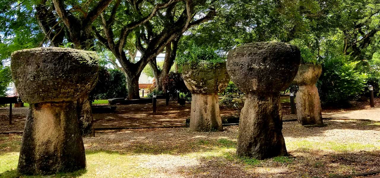 Site Is Going Under Maintenance